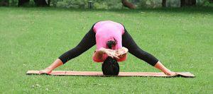 Yoga Asanas | Yoga Poses for Beginners | Sanskrit & English names - The ...