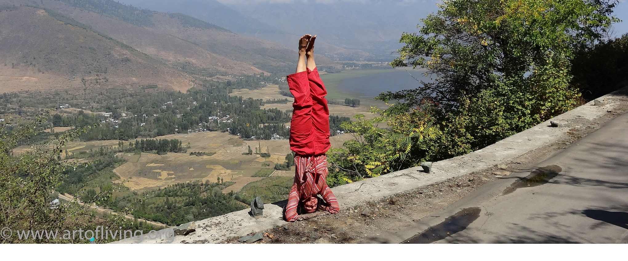 Shirshasana (Head Stand Pose) | Benefits of Sirsasana - The Art of Living