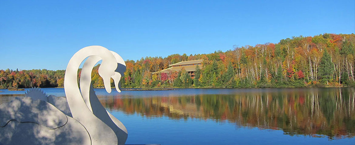 Graduate courses | The Art Of Living Canada